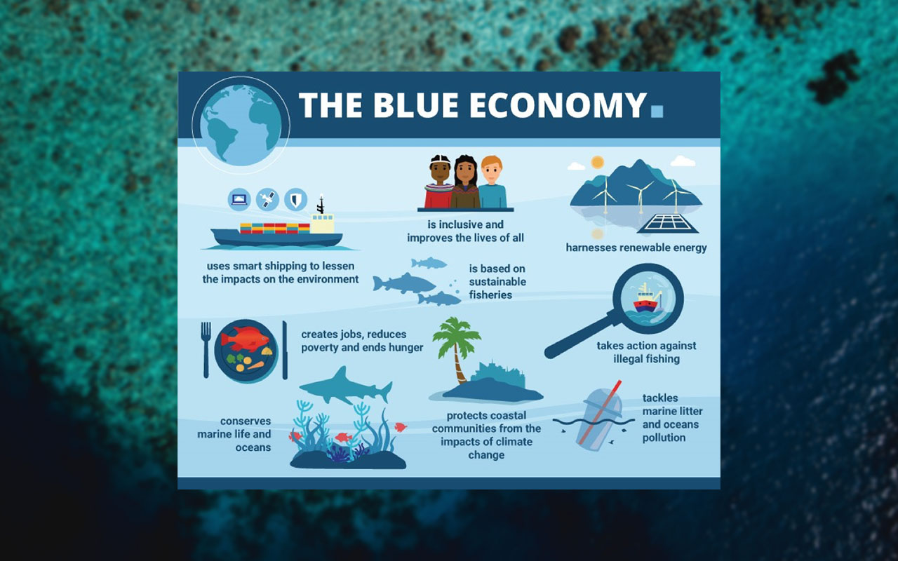 Blue Economy Biorock Indonesia Blue Economy Biorock Indonesia