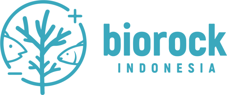 Biorock Indonesia — Us for The Reefs