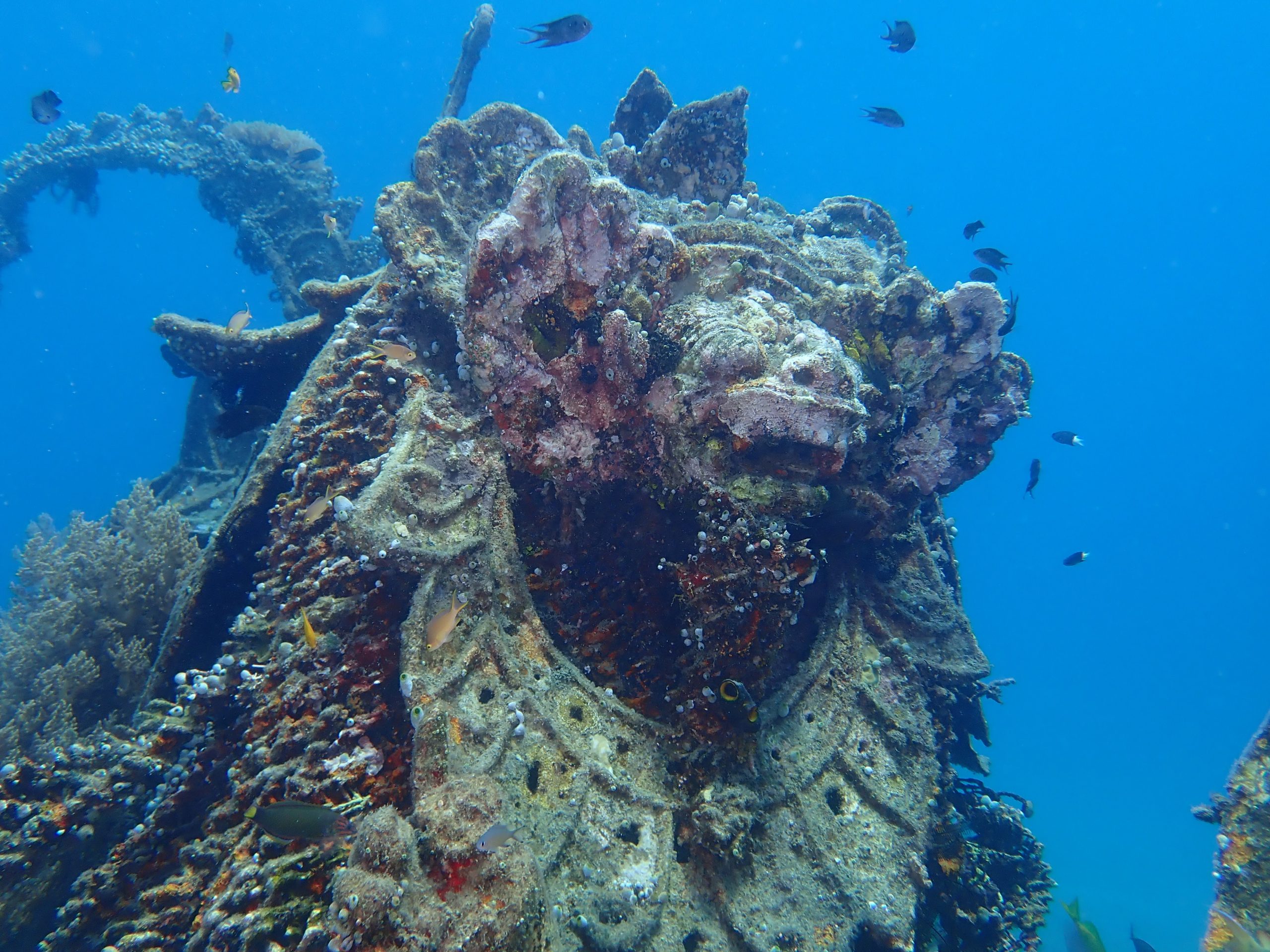 Potensi Ekowisata Berbasis Terumbu Karang di Indonesia — Biorock Indonesia