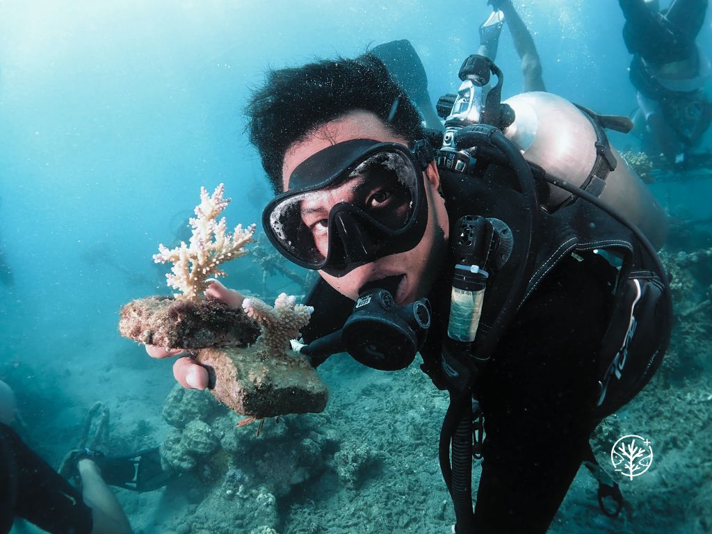 Conservation Diving — Biorock Indonesia